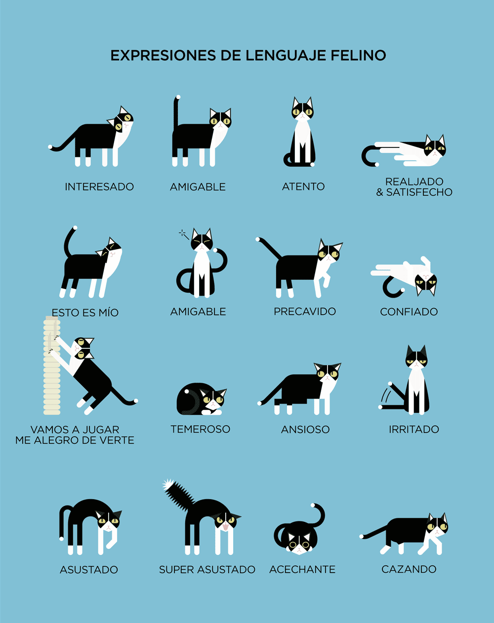 Señales de calma: ¿Cómo se comunica tu animal de compañía? - Dr. Green